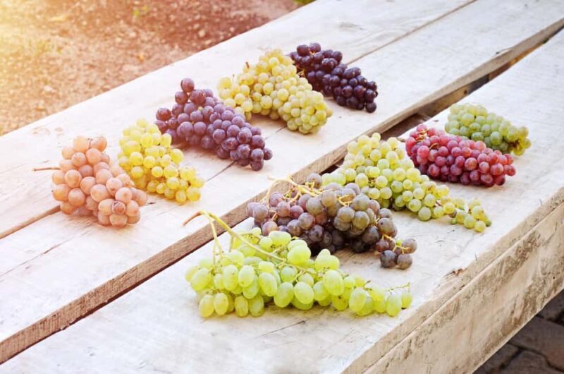 Cappadocia Wine Tasting Experience - Who Would Love This Experience?