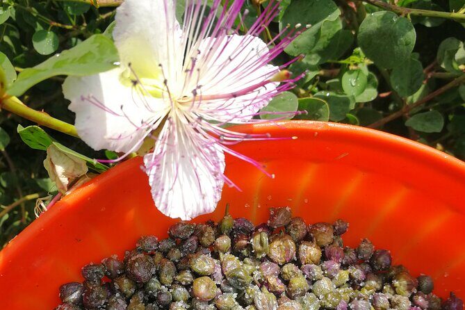 Cappero di Salina: Un'Esperienza di Degustazione Unica - Final Thoughts