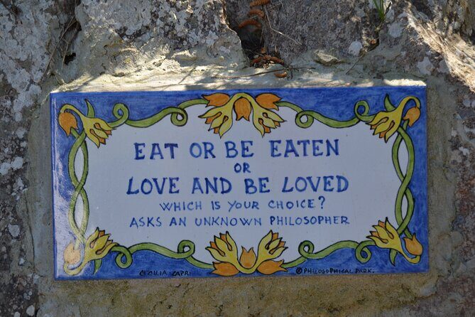 Capri & Blue Grotto Day Tour from Sorrento-Small Group Experience - Who Will Love This Tour?  