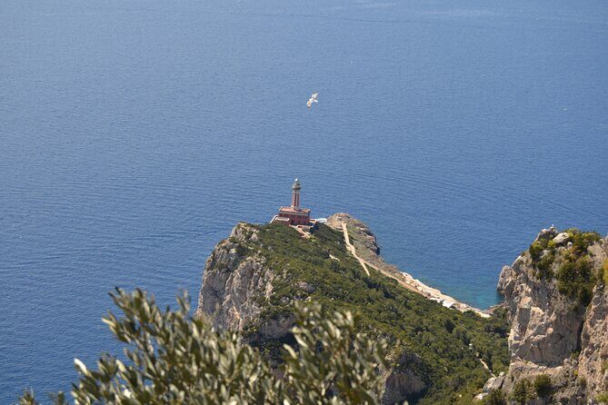 Capri Day Tour with a Local Guide - Hidden Gems & Stunning Views - Final Thoughts
