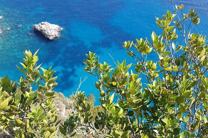 Capri Private Full Day Tour from Rome with Monte Solaro. - FAQ