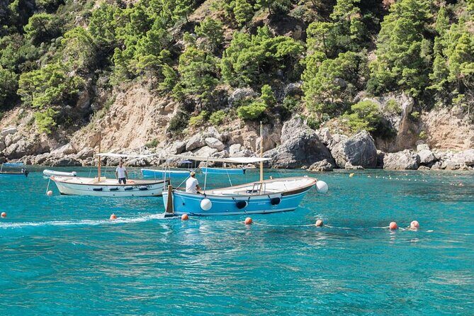 Capri tour with "Gozzo" (3 hours) - What to Expect from the Capri Gozzo Boat Tour