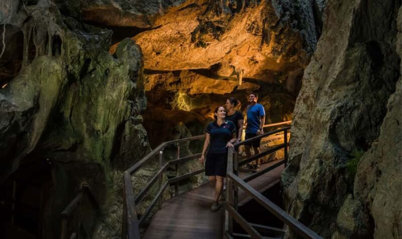 Capricorn Caves, Australia: 45-Minute Cathedral Cave Tour - Exploring the Capricorn Caves: What You Can Expect