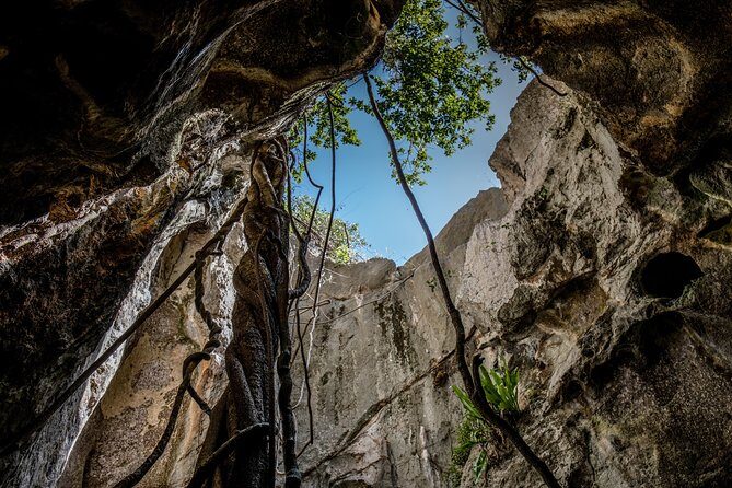 Capricorn Caves Capricorn Explorer - Why Choose This Tour?