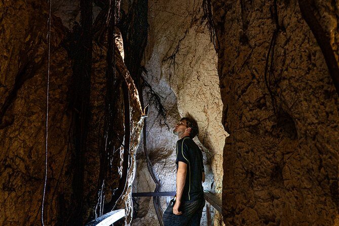 Capricorn Caves Cathedral Cave Tour - FAQ