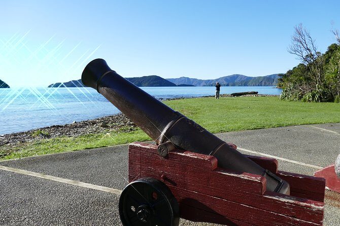 Captain Cook and Dolphin Cruise