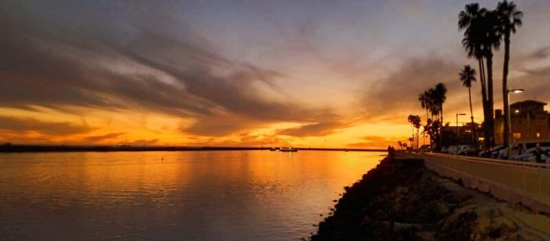 Capture LA's Coastal Magic-Wildlife, Marina Photography Tour - FAQ