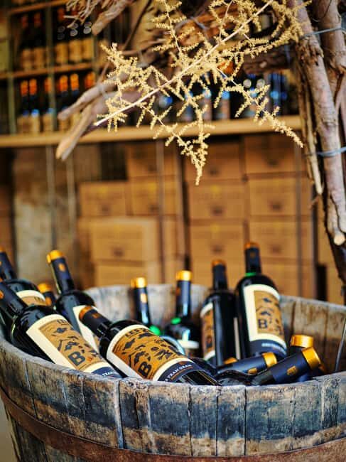 Carcassonne: Solex tour with guide and wine tasting - Key Points