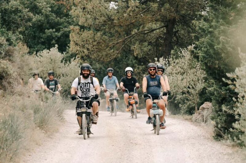 Carcassonne: Solex tour with guide and wine tasting - The Practicalities and Value