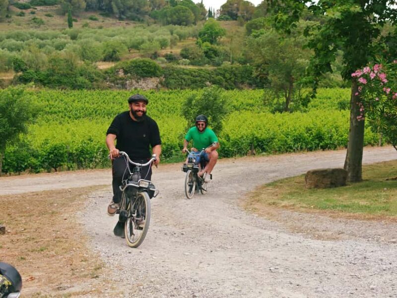Carcassonne: Solex tour with guide and wine tasting - Authentic Experiences Highlighted by Reviewers