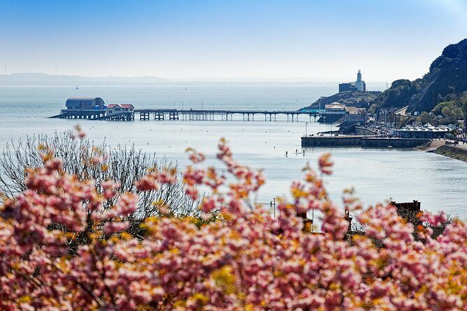 Cardiff: Golden Gower Coast, Swansea & Mumbles Day Tour - What’s Included and What to Consider