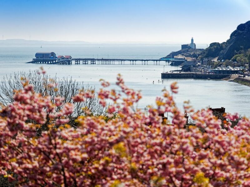 Cardiff: Golden Gower Coast, Swansea & Mumbles Day Tour - The Itinerary Breakdown  