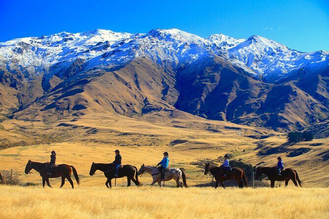 Cardrona High Country Pub Trail Horse Trek (Intermediate level+) - An In-Depth Look at the Experience