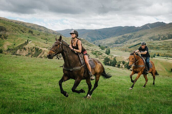 Cardrona High Country Pub Trail Horse Trek (Intermediate level+) - FAQ