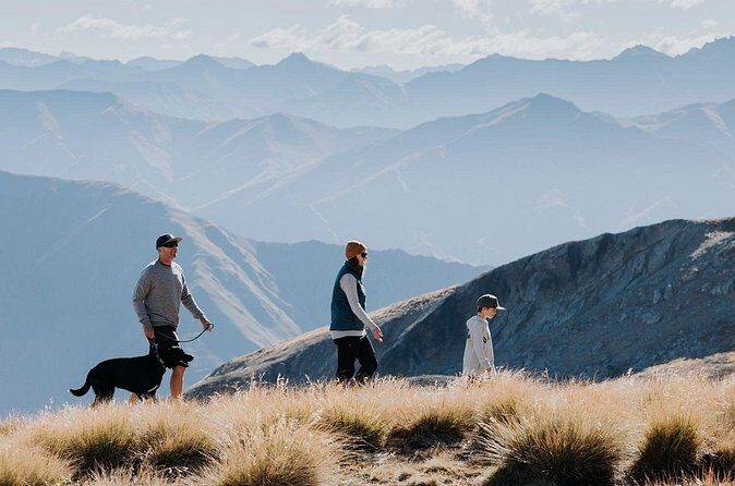 Cardrona Summer Gondola Sightseeing Pass - Is This Tour Worth It?