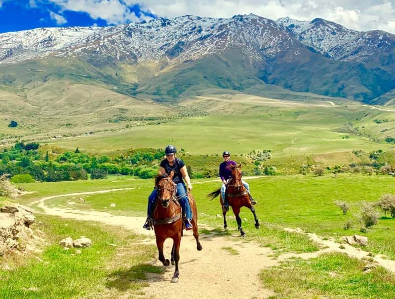 Cardrona Valley: Horse Trekking Experience - An Authentic, Relaxed Horseback Adventure