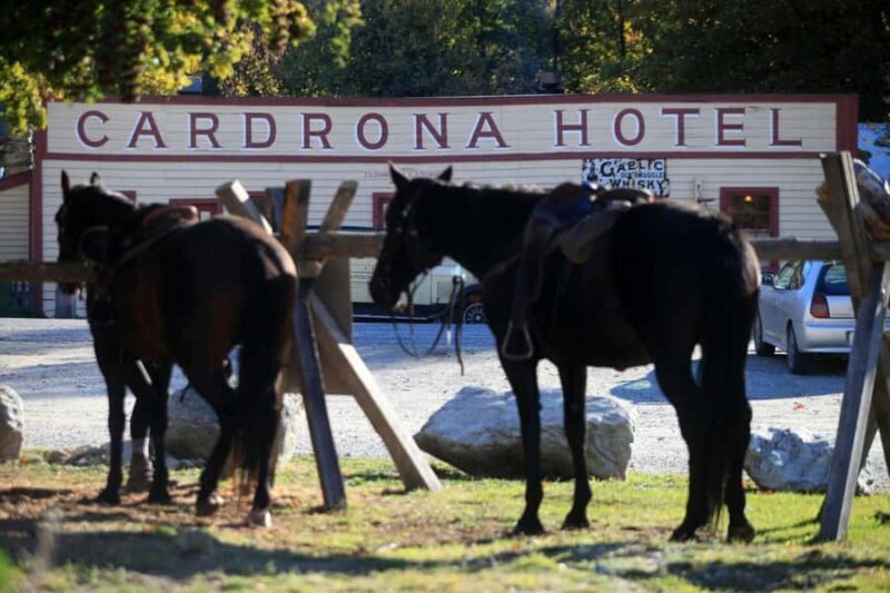 Cardrona Valley: Horse Trekking Experience - What You Can Expect from the Experience