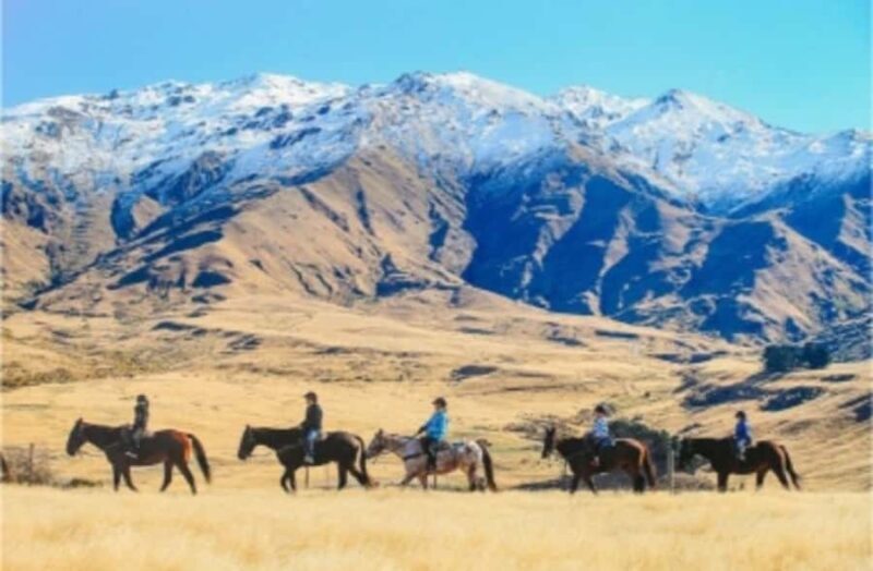 Cardrona Valley: Horse Trekking Experience - Who Should Consider This Tour?
