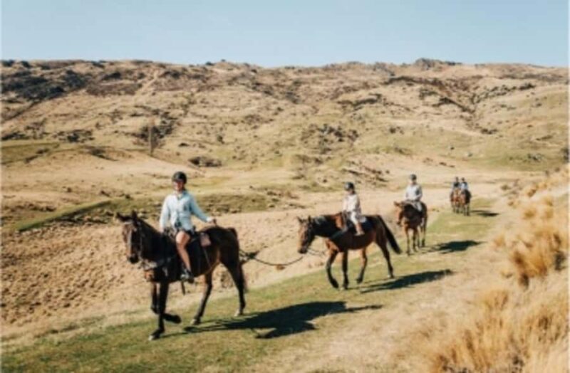 Cardrona Valley: Horse Trekking Experience - Final Thoughts