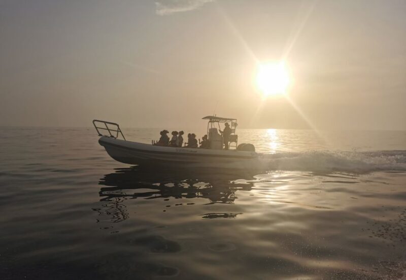 Cargèse: Calanques of Piana Capo Rosso Semi-Rigid Boat Tour - The Value of Expert Guidance and Scenic Beauty