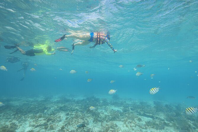 Caribbean Star Snorkeling Tour - Who is this tour best suited for?