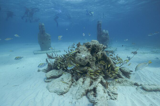 Caribbean Star Snorkeling Tour - FAQ