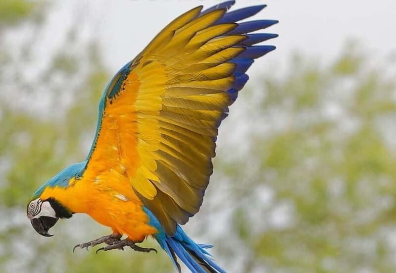 Carini: Get your ticket to the Bioparco di Sicilia - Key Points