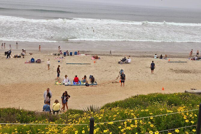 Carlsbad: A Self-Guided Walking Tour of the Village by the Sea - Scenic Coastal and Wetland Views
