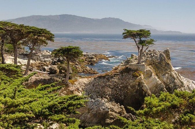 Carmel Drive Tour - Who Will Love This Experience?