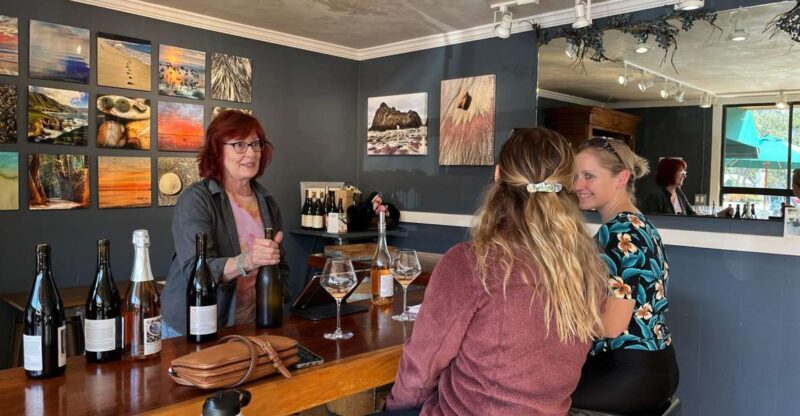 Carmel Valley Village: Wine Tasting Tours in a 1970 VW bus. - Is This Tour Worth It?