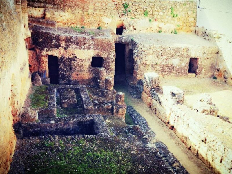 Carmona: City Walking Tour - An In-Depth Look at the Carmona City Walking Tour