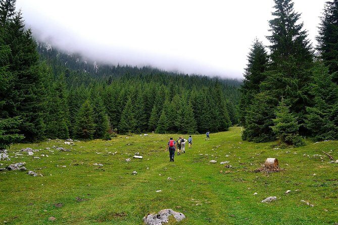 Carpathians in Romania: Piatra Craiului National Park with native Spanish guide. - Exploring the Piatra Craiului National Park