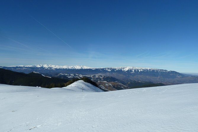 Carpathians in Romania: Piatra Craiului National Park with native Spanish guide. - Practical Details and Value