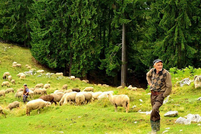 Carpathians in Romania: Piatra Craiului National Park with native Spanish guide. - Who Will Love This Tour?