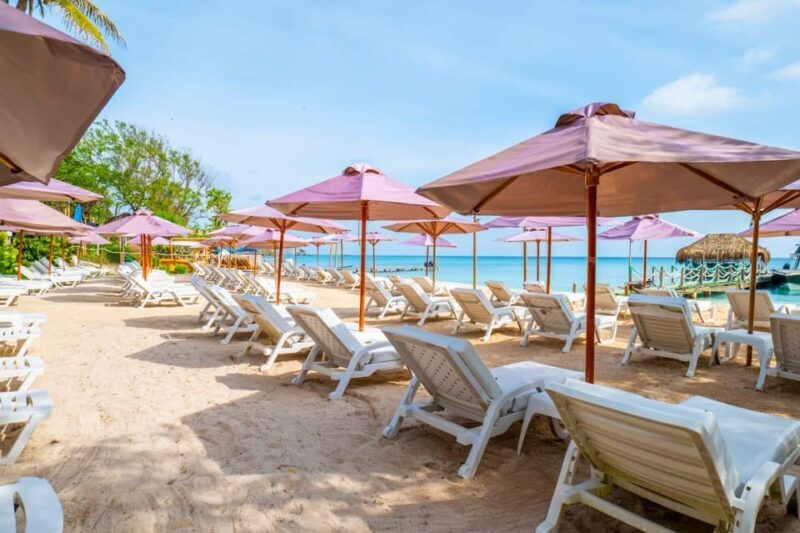 Cartagena: Rosario Island Beach Club Day Trip and OPEN BAR - Who Will Love This Tour?