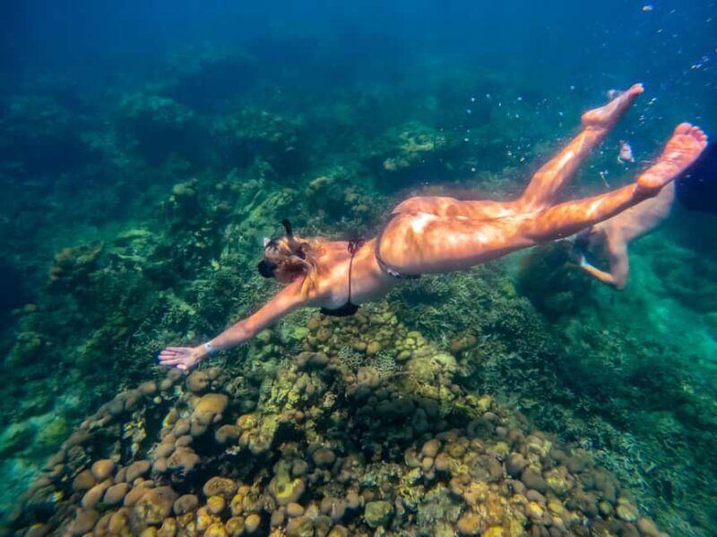 Cartagena: Rosario Islands Day Tour with Snorkel & Lunch - The Experience in Detail