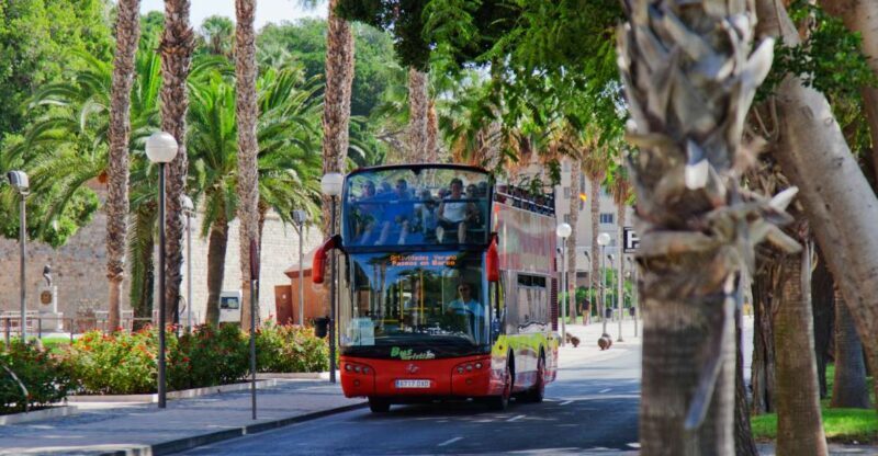 Cartagena, Spain: Panoramic Double-Decker Bus Tour - Authentic Experiences & Traveler Insights