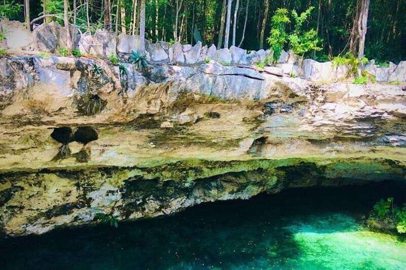 Casa Tortuga Park: Cenote Tour - An Overview of the Casa Tortuga Cenote Tour