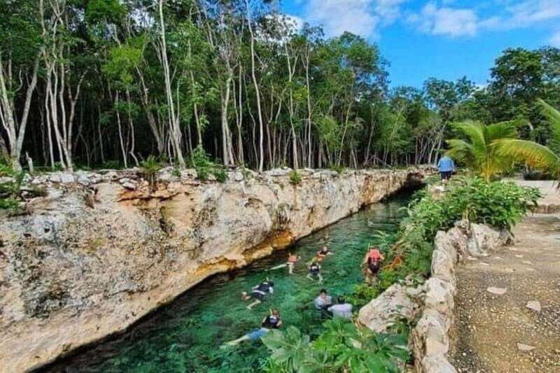 Casa Tortuga Park: Cenote Tour - The Realities Based on Reviews and Feedback