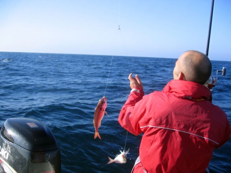 Cascais Deep-Sea Fishing Trip - Discovering Cascais Bay: A Scenic Start