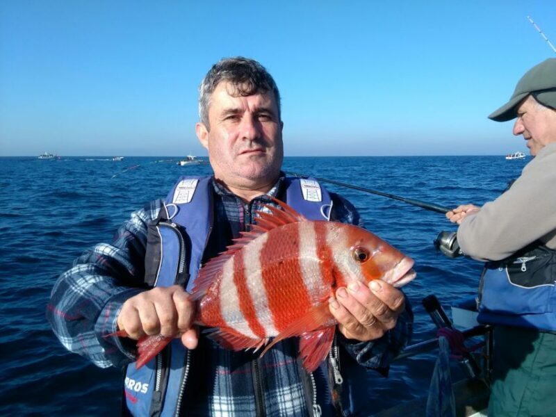 Cascais Deep-Sea Fishing Trip - Fish Species and the Joy of Catching