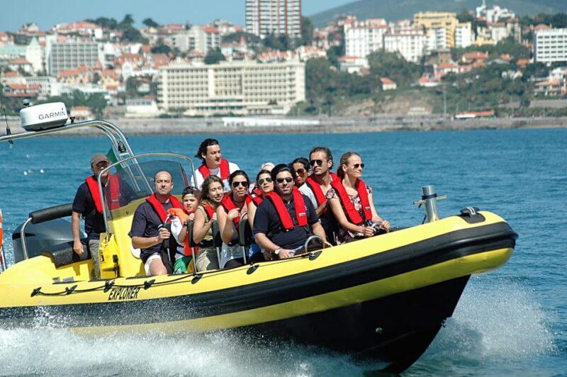 Cascais: Dolphin Watching Speedboat Tour - FAQ  