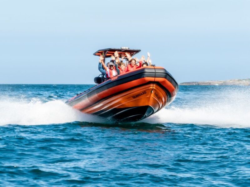 Cascais: Dolphin Watching Tour - Value and Cost Analysis