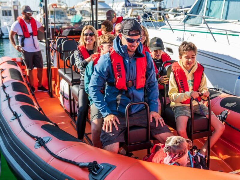 Cascais: Dolphin Watching Tour - What to Expect on the Cascais Dolphin Watching Tour