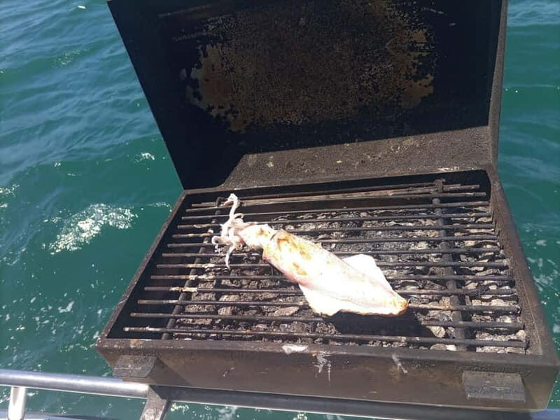 Cascais: Half-Day Fishing Trip - What to Expect from the Cascais Half-Day Fishing Trip