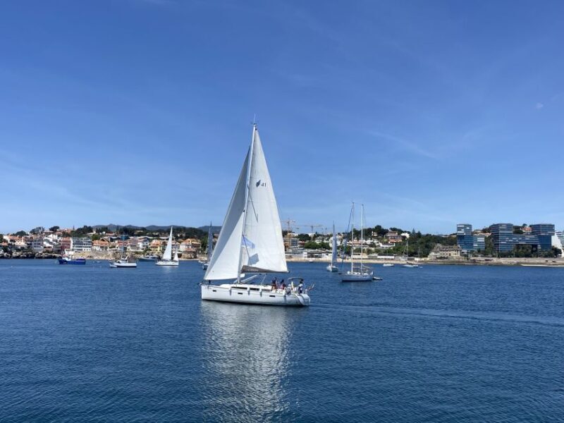 Cascais: Sailing Tour with Drink - Key Points