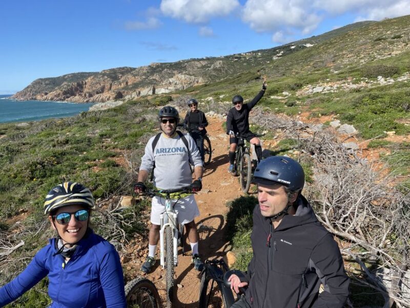 Cascais-Sintra E-bike Tour: Coast & Countryside Adventure - An In-Depth Look at the Tour