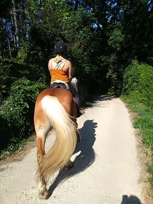 Casentino: Horseback Riding Tour with Verna Sanctuary View - Key Points