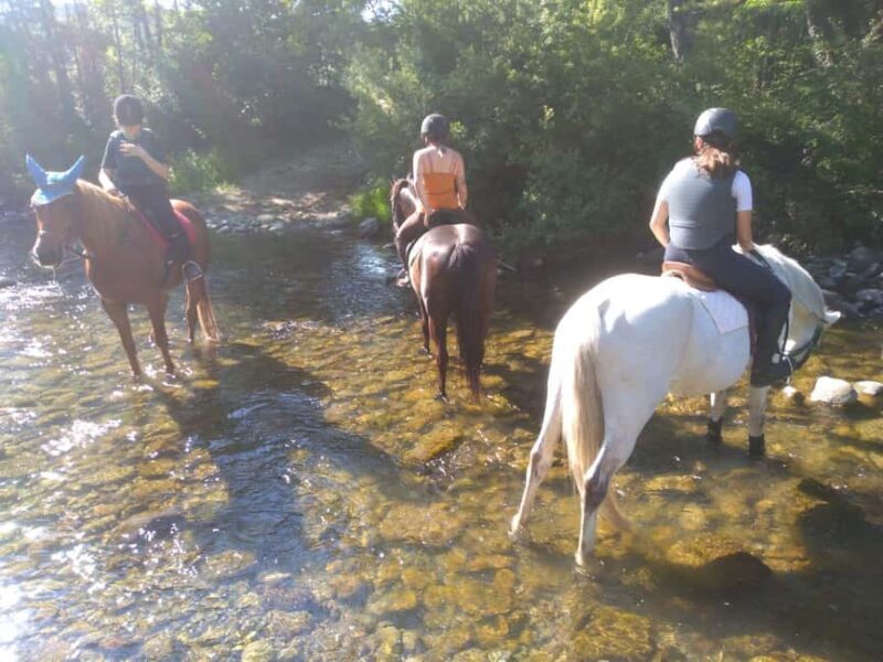 Casentino: Horseback Riding Tour with Verna Sanctuary View - Final Thoughts
