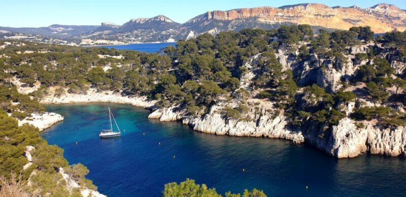 Cassis: 3 Calanques Half-Day Hiking Tour with Swimming - Authentic Insights from Reviewers  